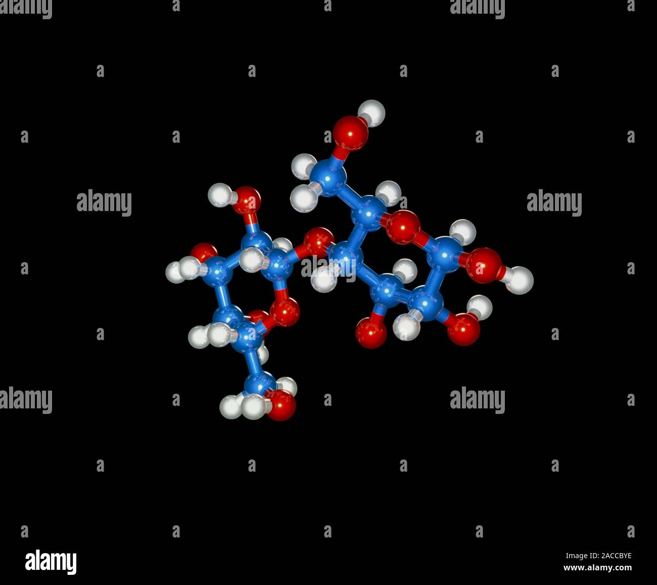 Lactose. Molecular model of the sugar D-(+)- lactose (formula ...