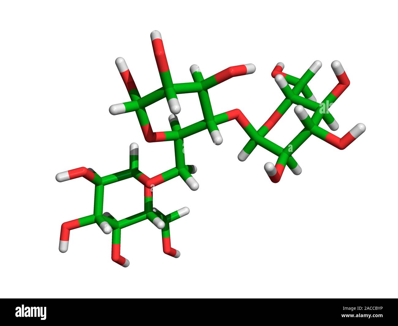 Amylopectin. Computer-generated molecular model of amylopectin ...