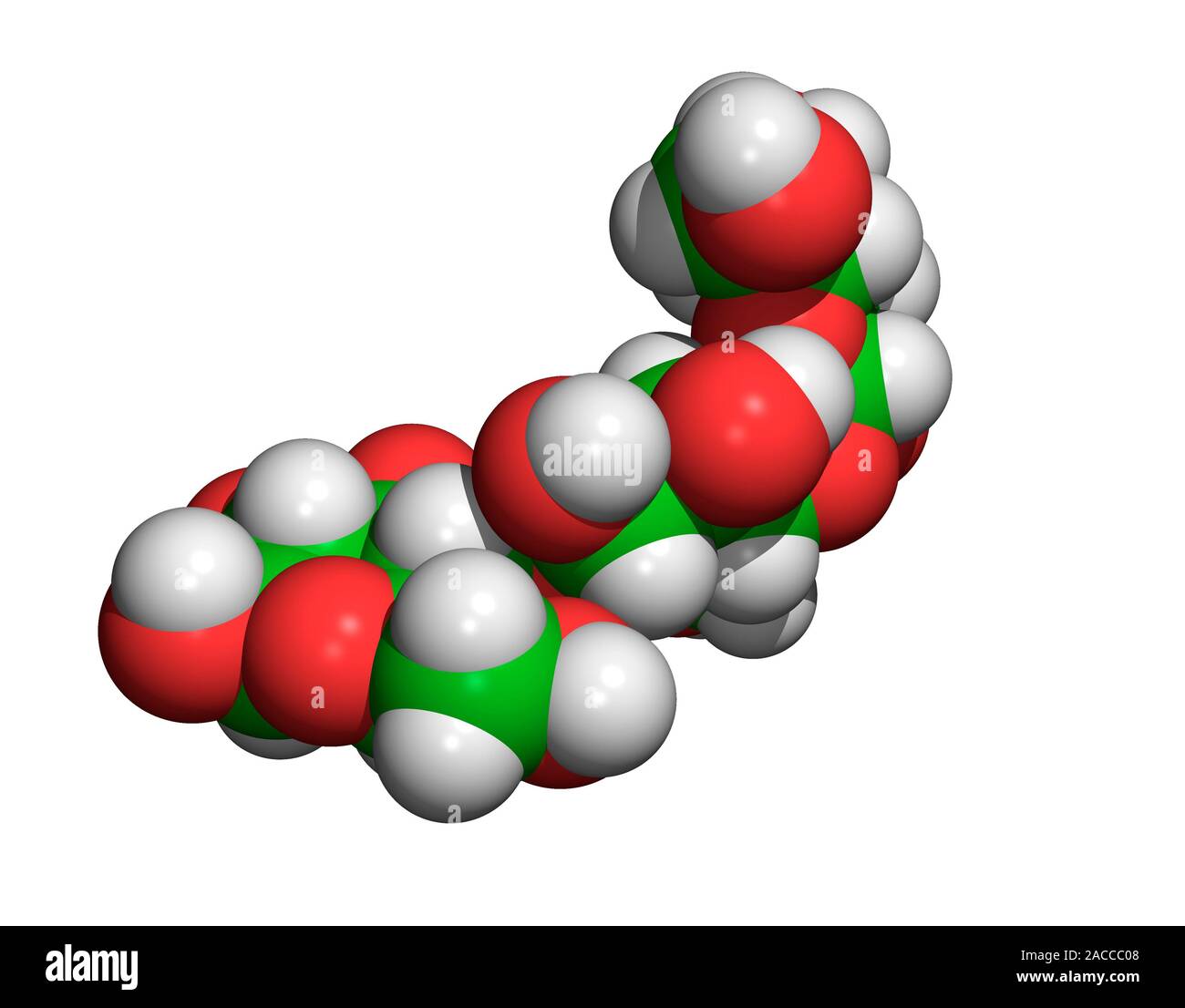 Cellulose. Computer-generated molecular model of cellulose. Cellulose ...