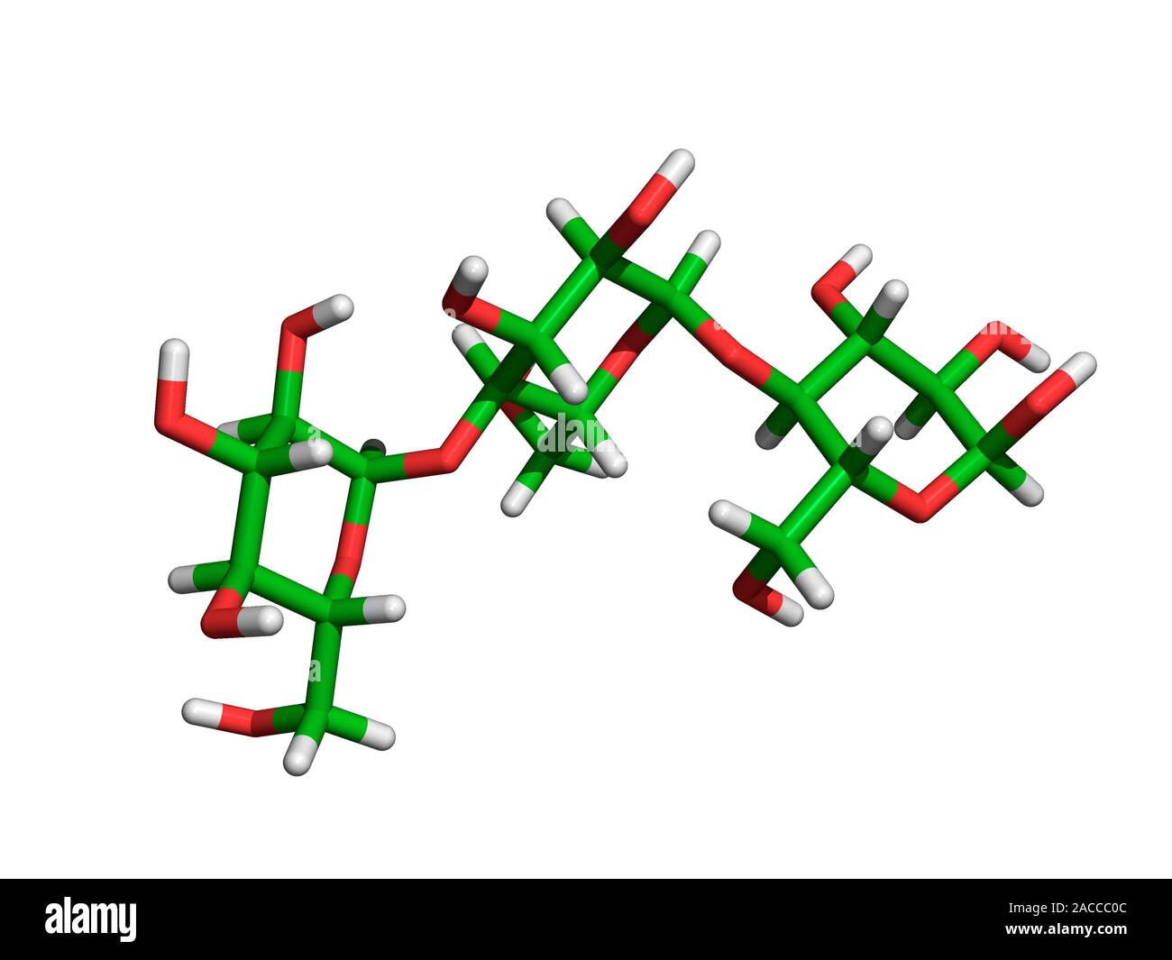 Amylose. Computer-generated molecular model of amylose. Amylose is ...