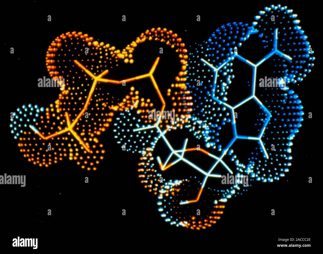 ATP. Computer graphic representation of a molecule of adenosine ...