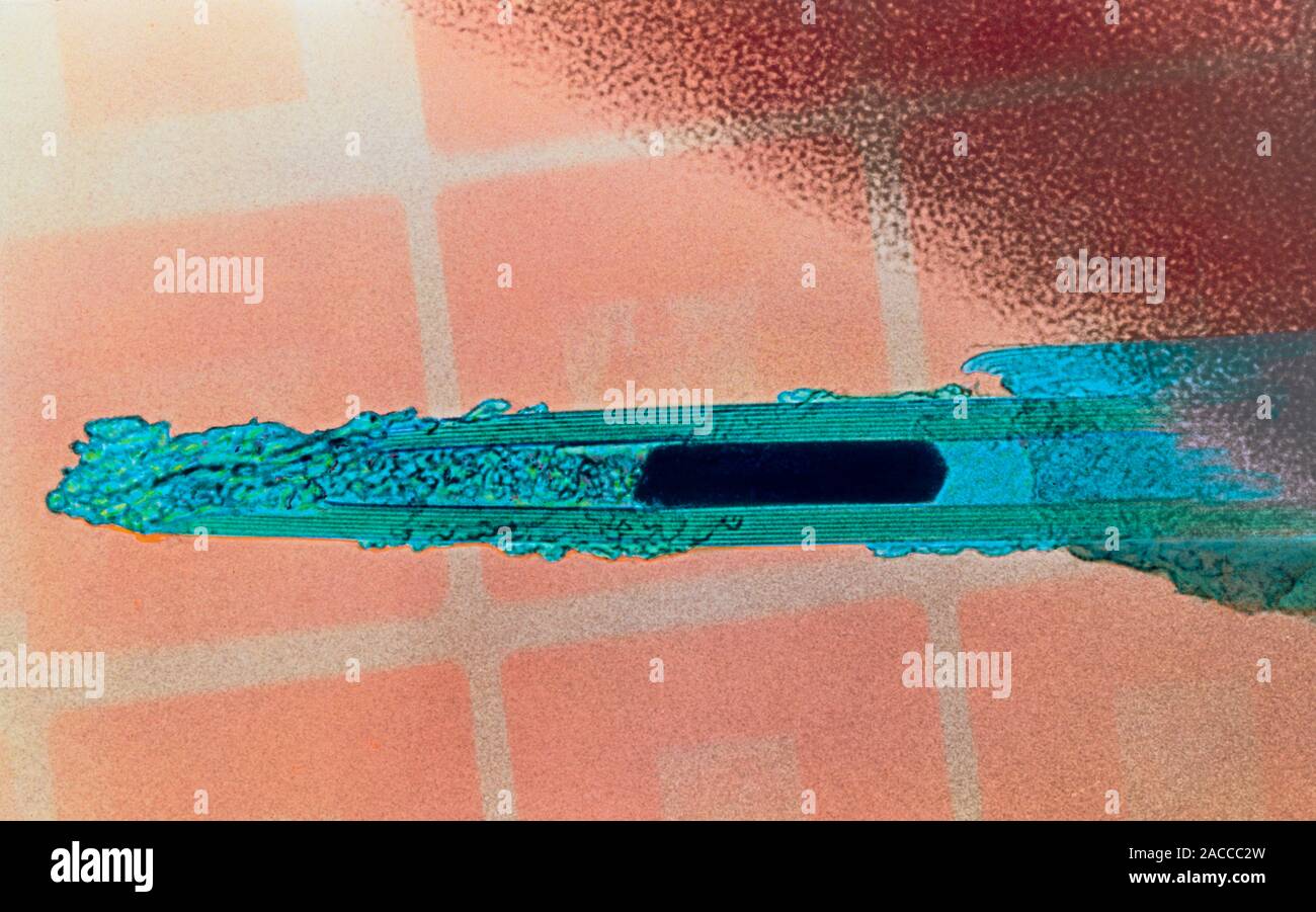 Nanomagnet. Coloured transmission electron micrograph of the world's ...