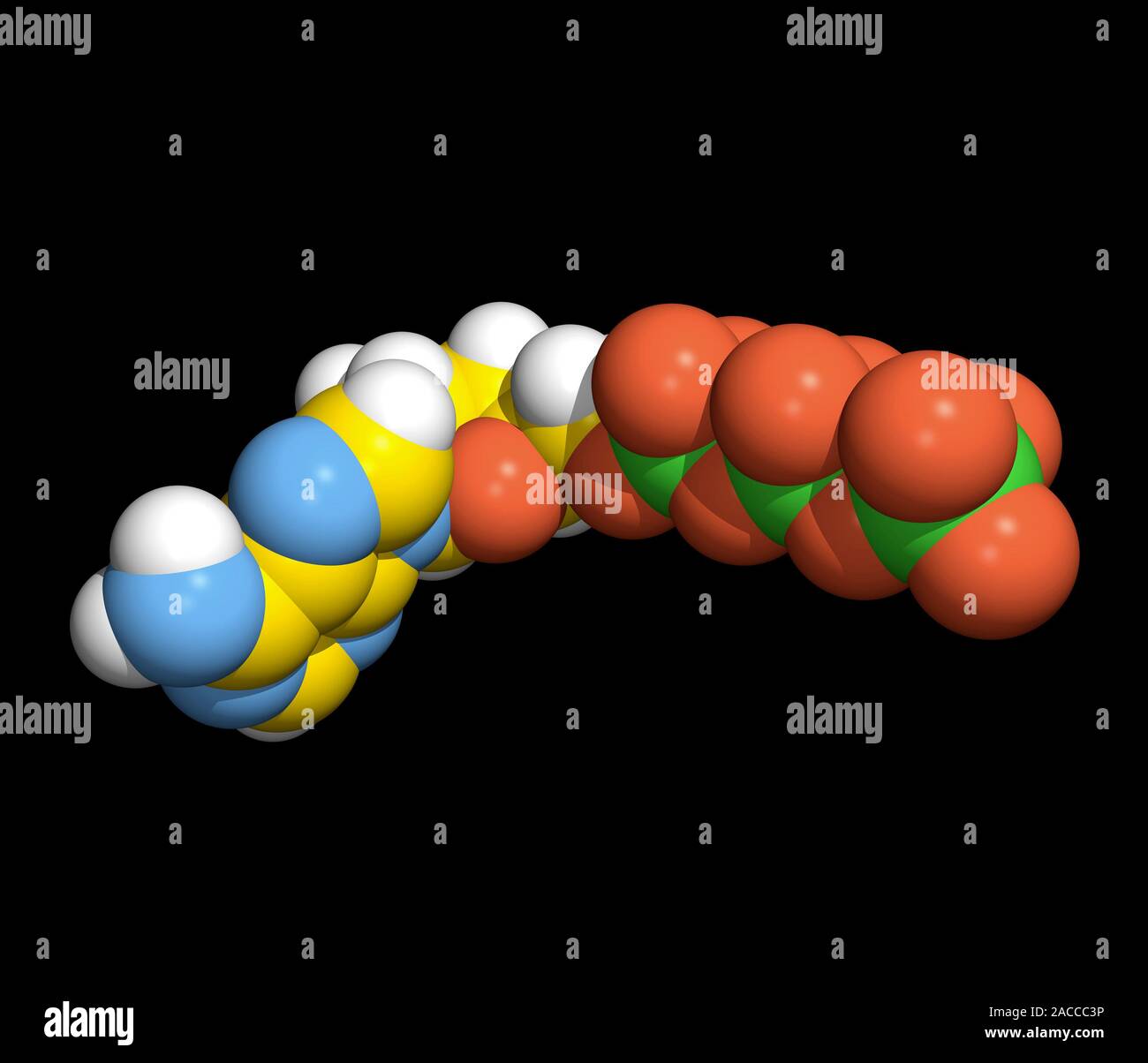 ATP. Computer artwork of a molecule of adenosine triphosphate (ATP ...