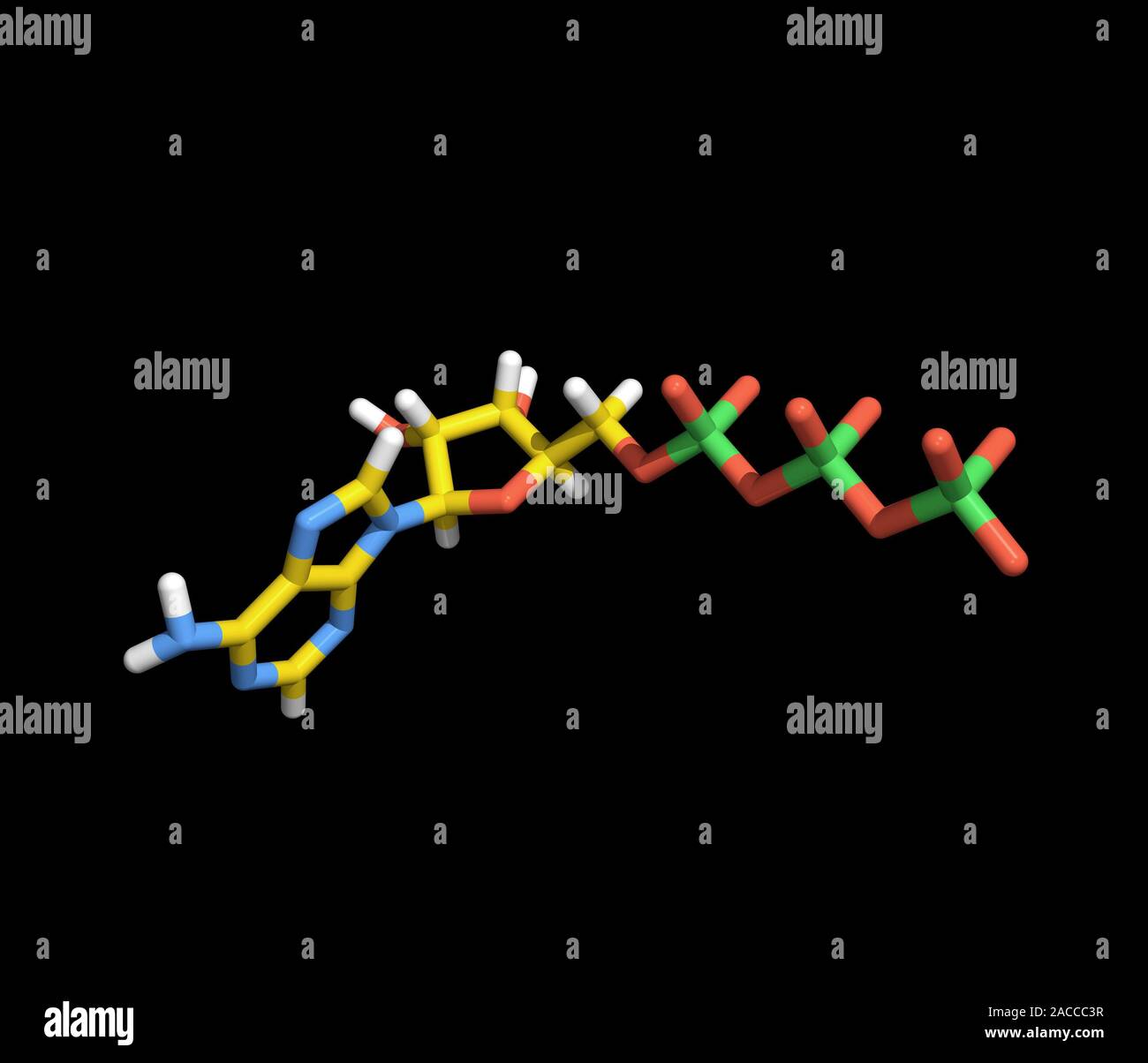 ATP. Computer artwork of a molecule of adenosine triphosphate (ATP ...