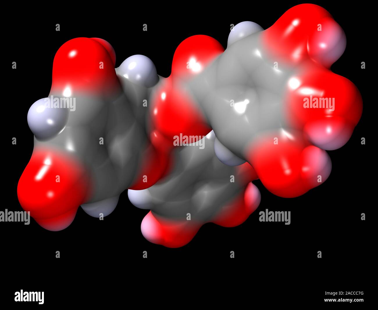 Green tea molecule. Electron density map of a molecule of ...