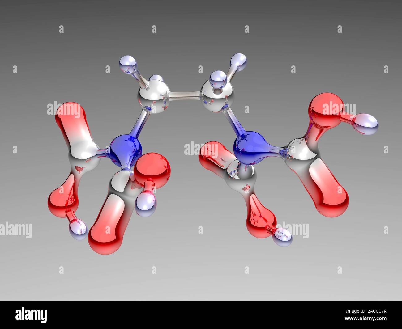 EDTA chelating agent, molecular model. EDTA (ethylenediaminetetraacetic ...
