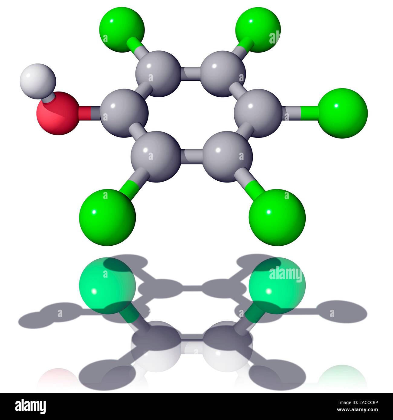 Pentachlorophenol pesticide, molecular model. Pentachlorophenol is a ...