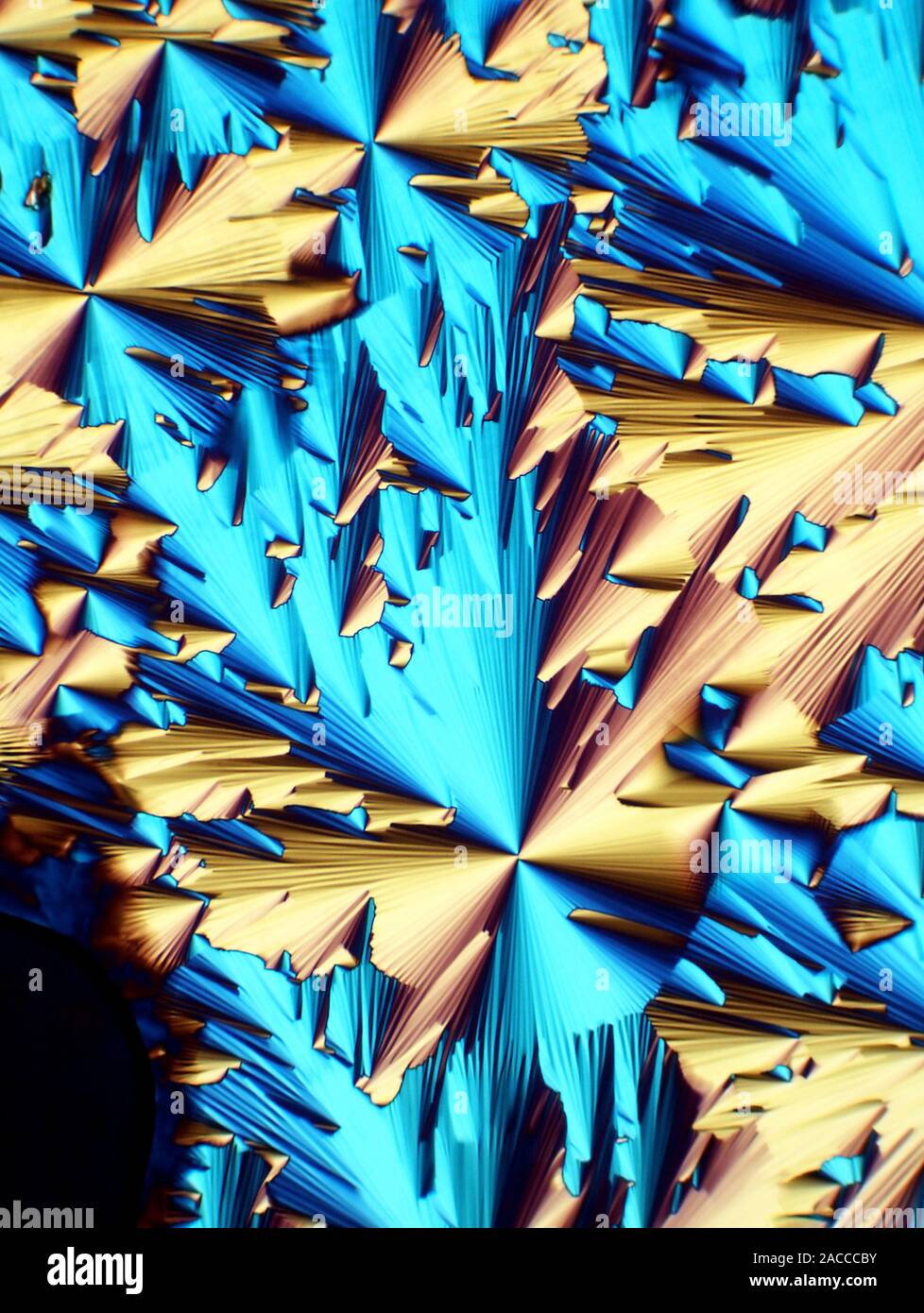 Barlox 12. Polarized light micrograph of Barlox 12 (Lauryl Dimethyl ...