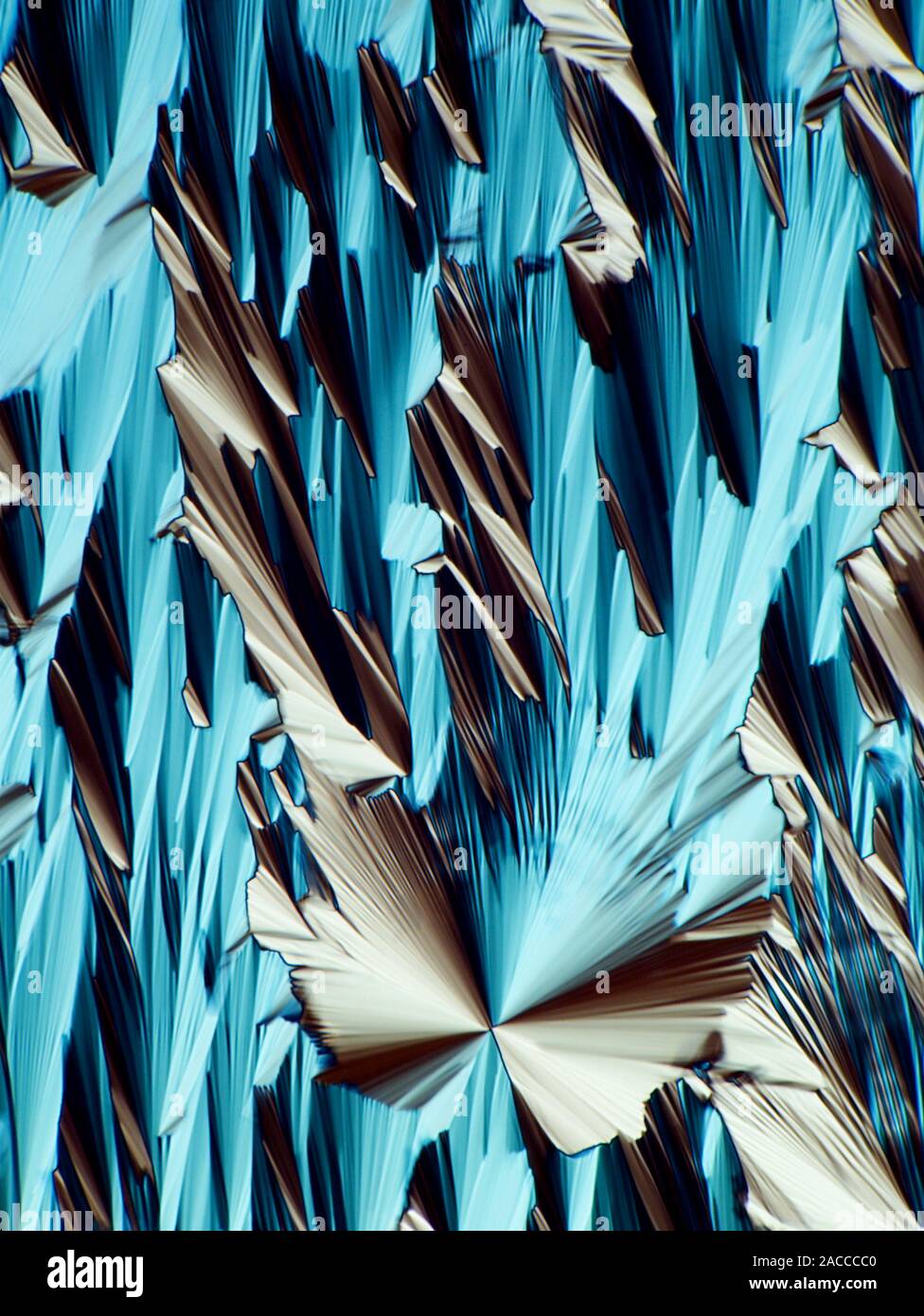 Barlox 12. Polarized light micrograph of Barlox 12 (Lauryl Dimethyl ...