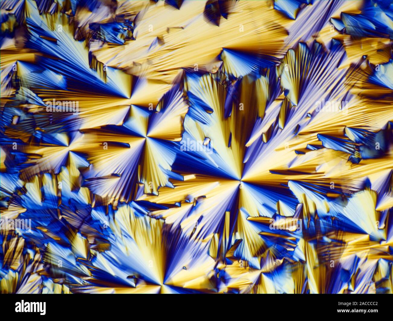 Barlox 12. Polarized light micrograph of Barlox 12 (Lauryl Dimethyl ...