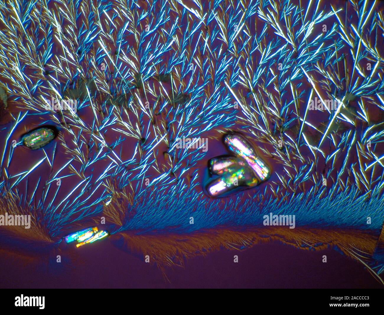 Metaldehyde pesticide. Polarised light micrograph of Meta, a ...