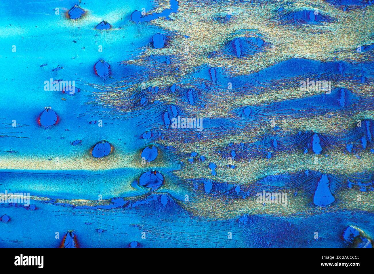 Metaldehyde pesticide. Light micrograph of Meta, a metaldehyde ...