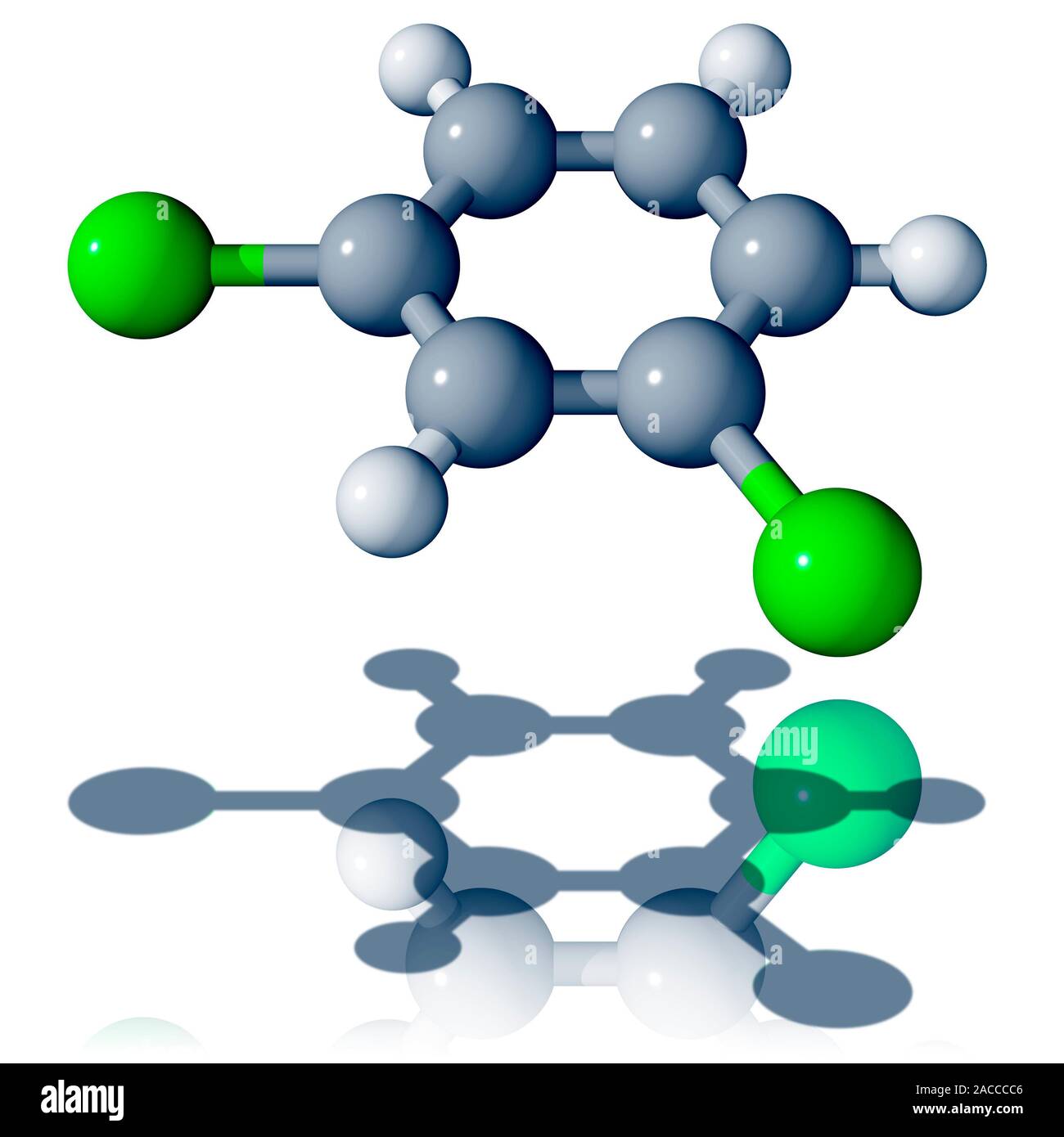 1,3-dichlorobenzene. Molecular model of 1,3-dichlorobenzene, an isomer ...