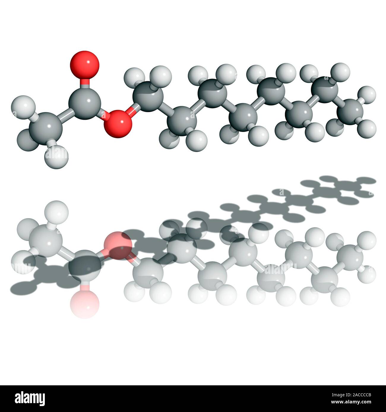 Octyl Ethanoate Structure