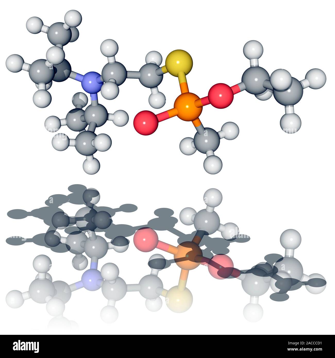 VX nerve agent molecule. Molecular model of VX, a nerve agent used in ...