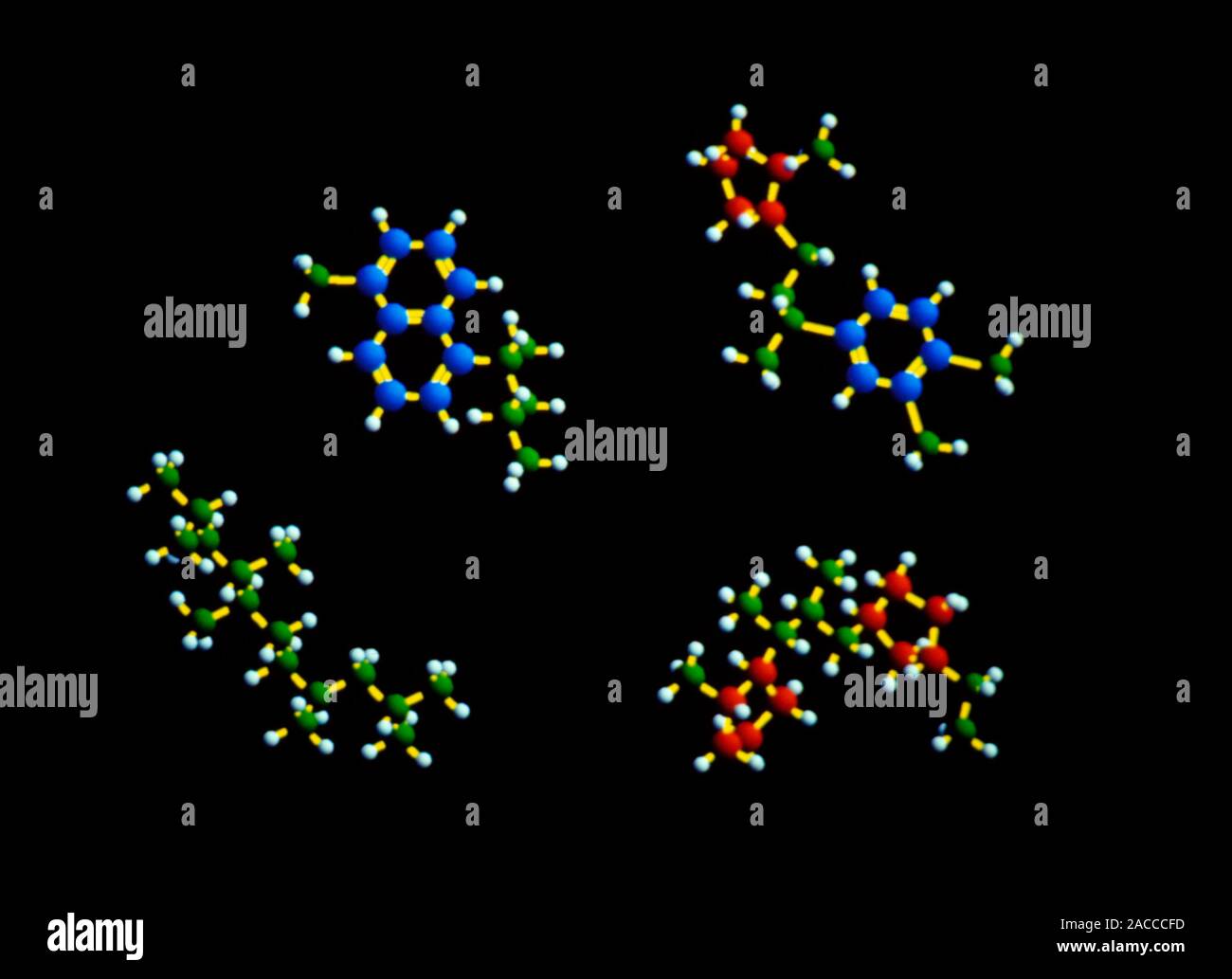 Computer graphics representation of the structures of four different ...
