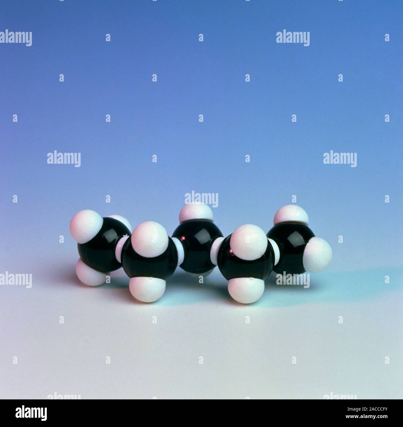 Pentane. Model of a molecule of one of the isomers of pentane. This ...