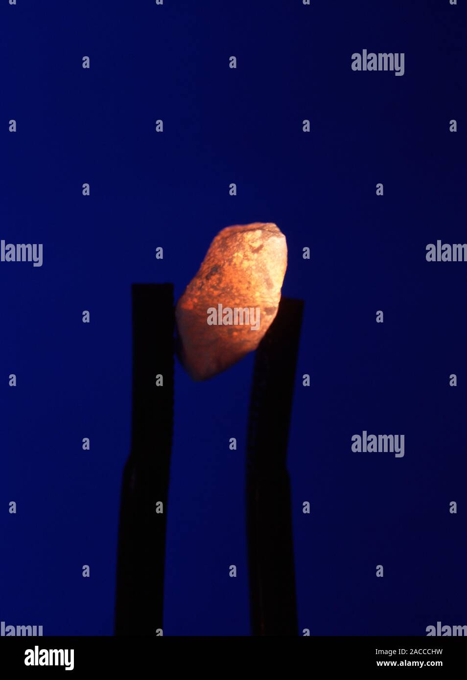 Glowing limestone chip (calcium carbonate, CaCO3) held by tweezers ...