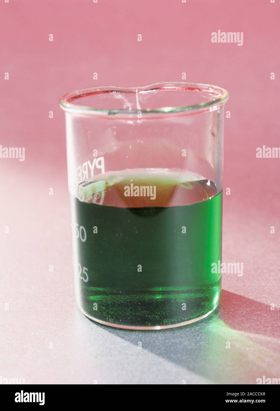 Chromium (III) chloride (CrCl3) solution in a beaker Stock Photo - Alamy