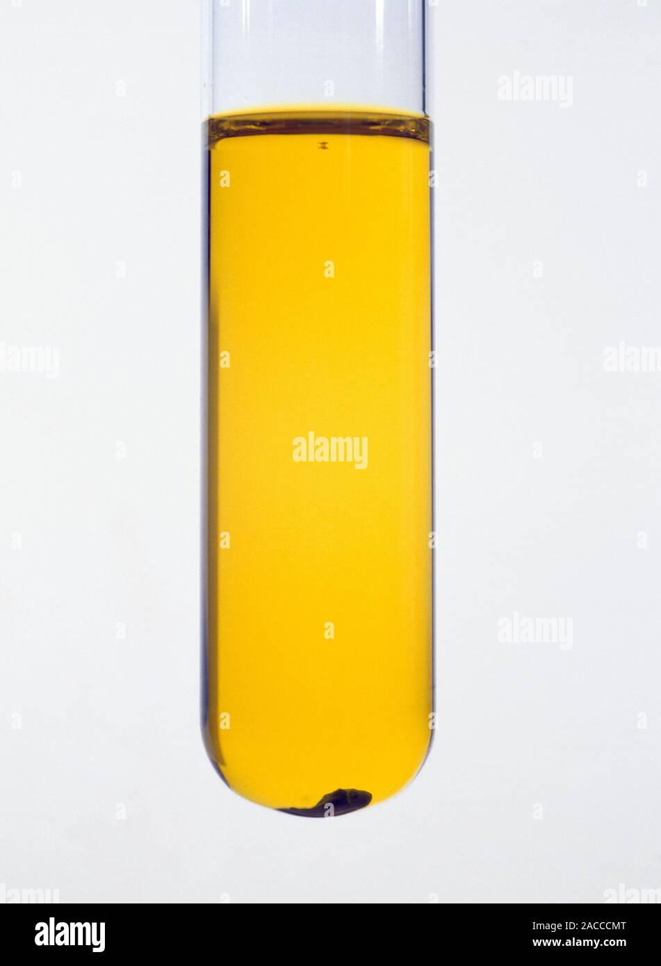 Vanadium solution. Test tube containing vanadium (V) solution (VO2 ...