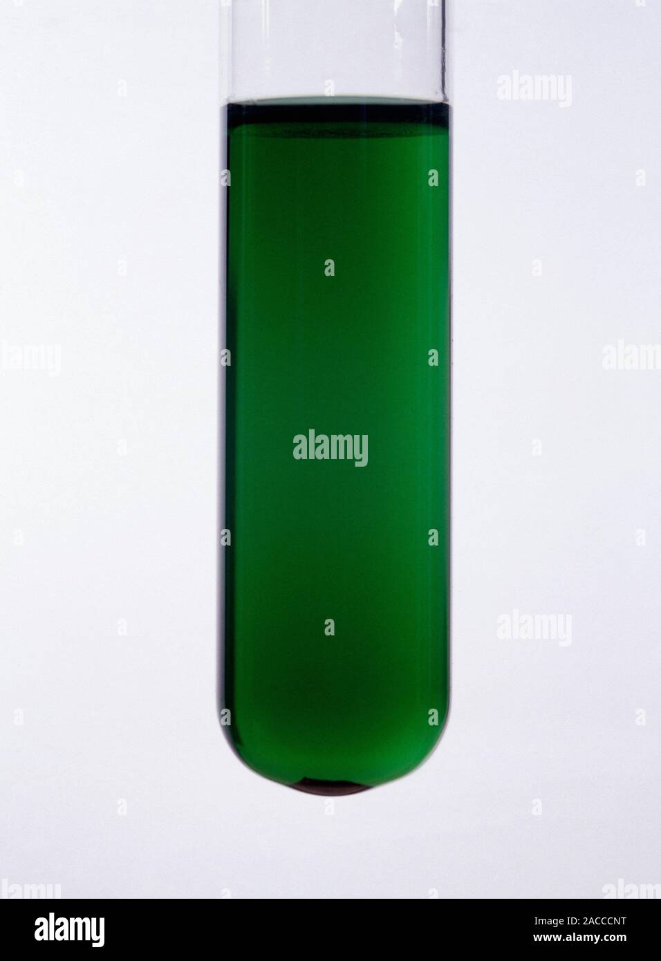 Vanadium solution. Test tube containing vanadium (III) solution (VO3 ...