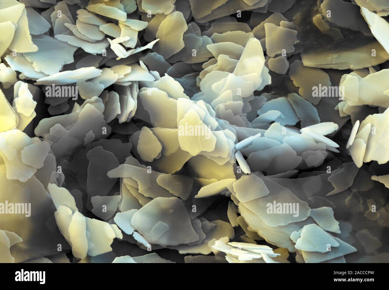 Titanium dioxide. Coloured scanning electron microscope (SEM) of ...
