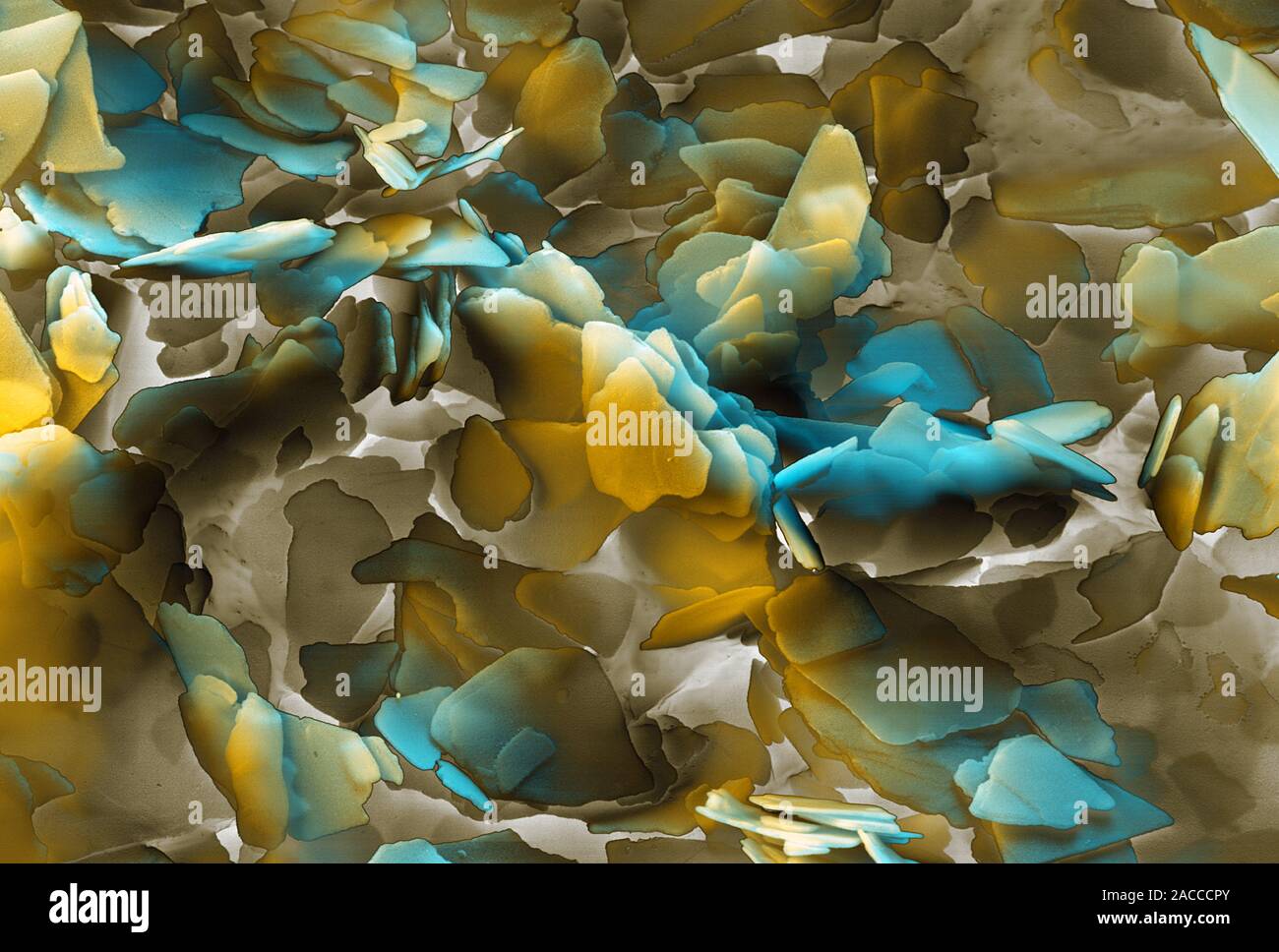 Titanium dioxide. Coloured scanning electron microscope (SEM) of ...