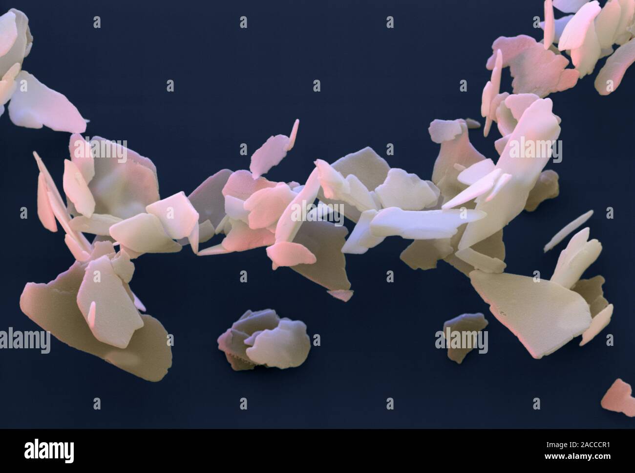 Titanium dioxide. Coloured scanning electron microscope (SEM) of ...