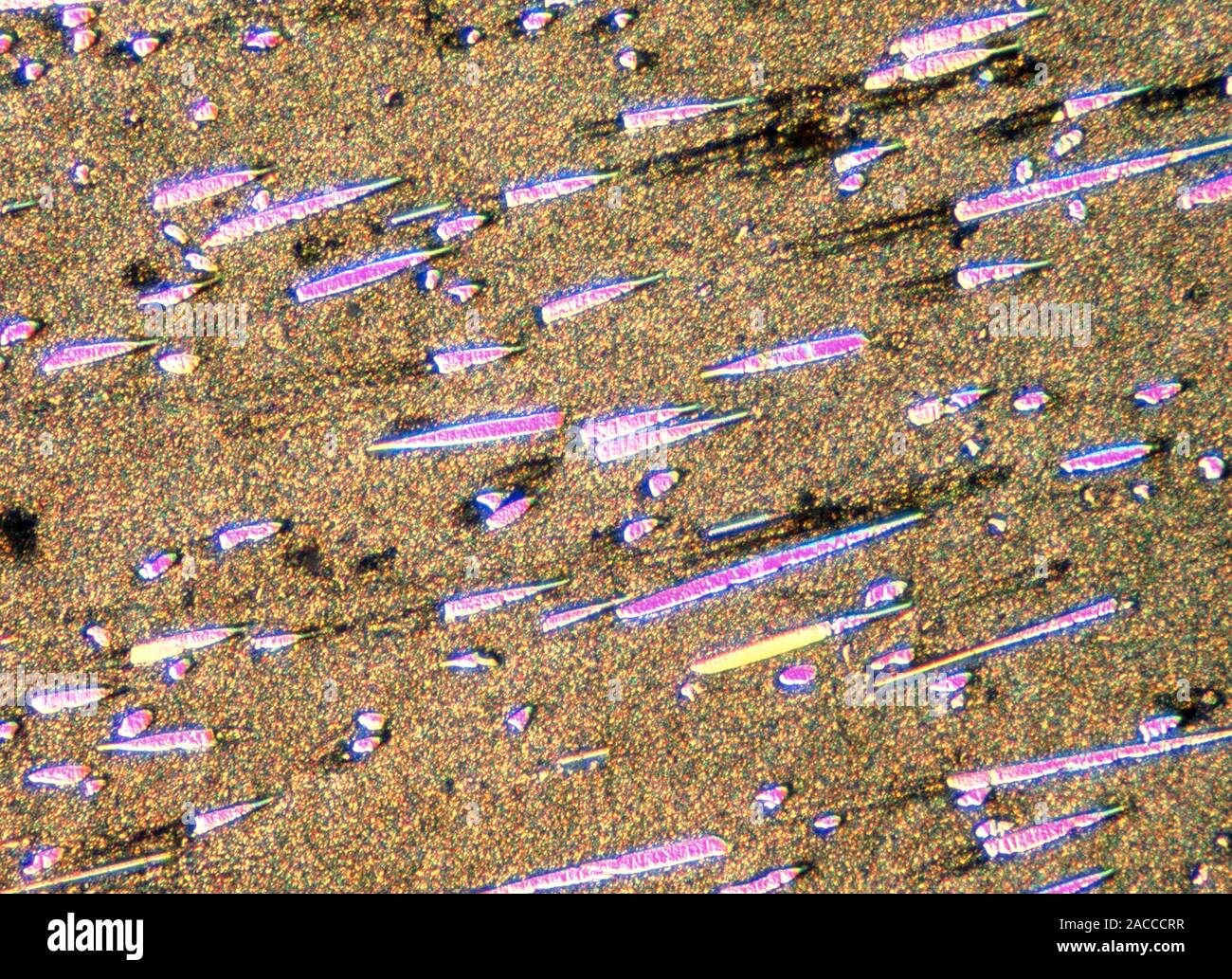 Light micrograph of glass fibres in a polypropylene matrix ...