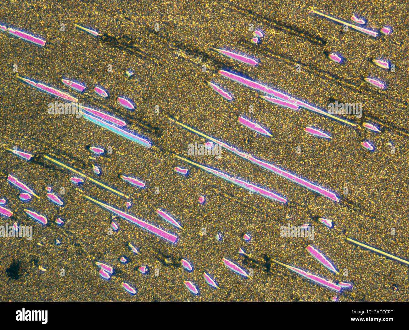 Light micrograph of glass fibres in a polypropylene matrix ...