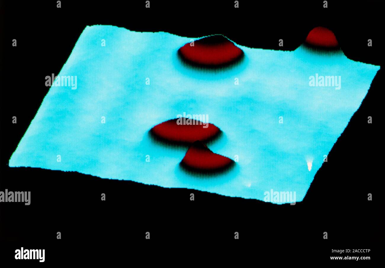 Atomic force micrograph of the surface of a thin co-polymer film. The ...