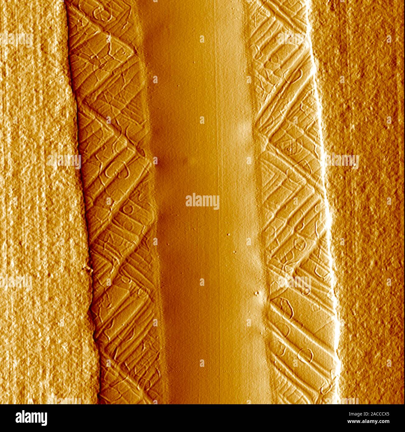 Polymer films. Coloured atomic force micrograph (AFM) of a multi-layer ...