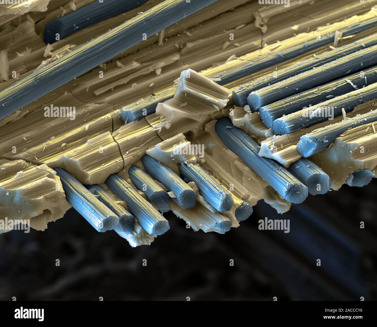 Ceramic brake disc. Coloured scanning electron micrograph (SEM) of a ...