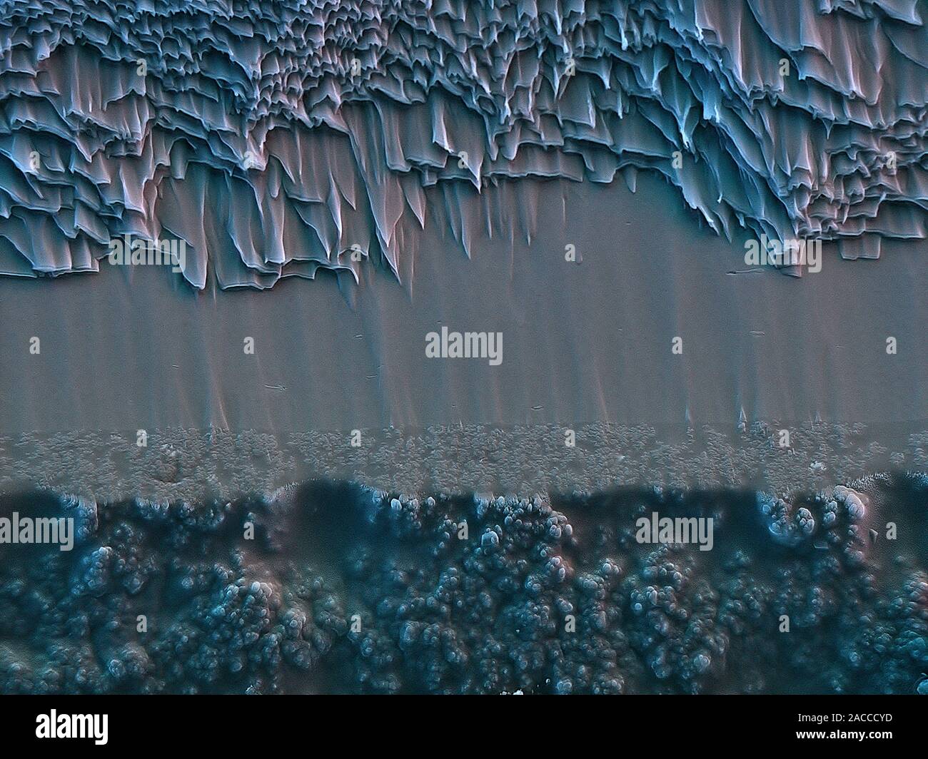 Polishing cloth cross-section. Coloured scanning electron micrograph ...