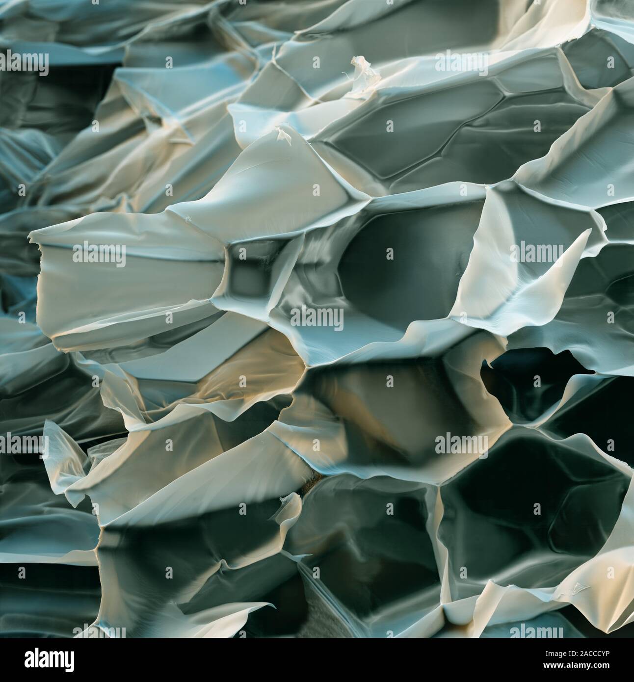 Styrodur insulating material, coloured scanning electron micrograph ...
