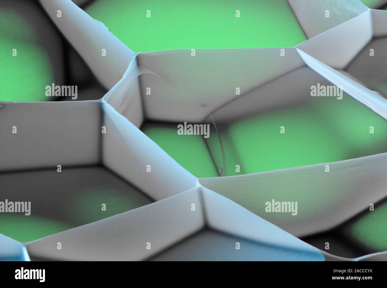 Styrodur insulating material, coloured scanning electron micrograph ...