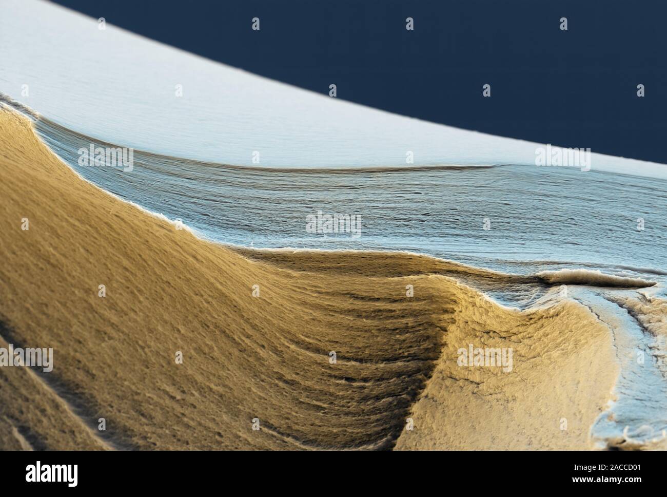 Terlux, coloured scanning electron micrograph (SEM). This transparent ...