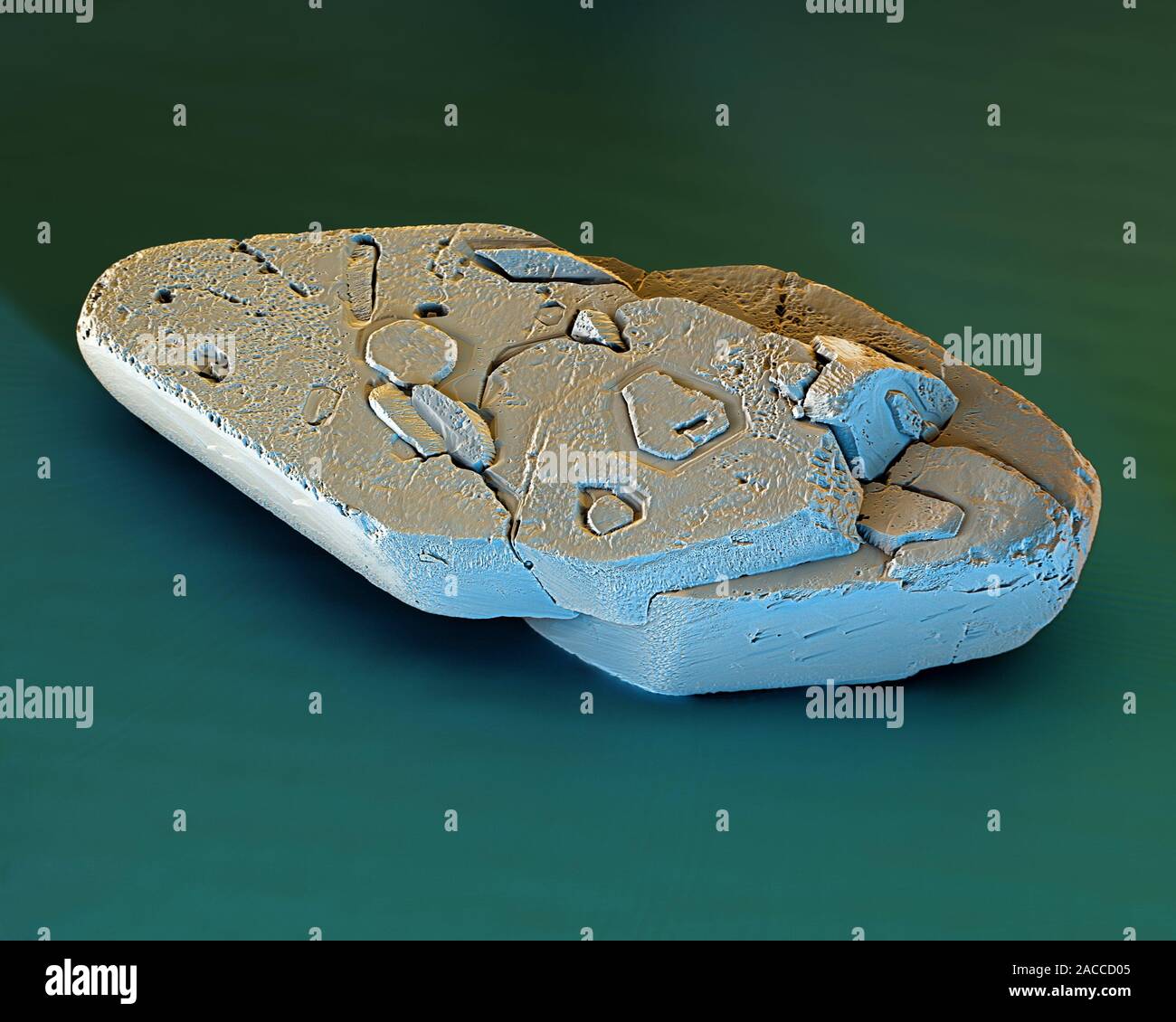 UV stabiliser. Coloured scanning electron micrograph (SEM) of a crystal ...