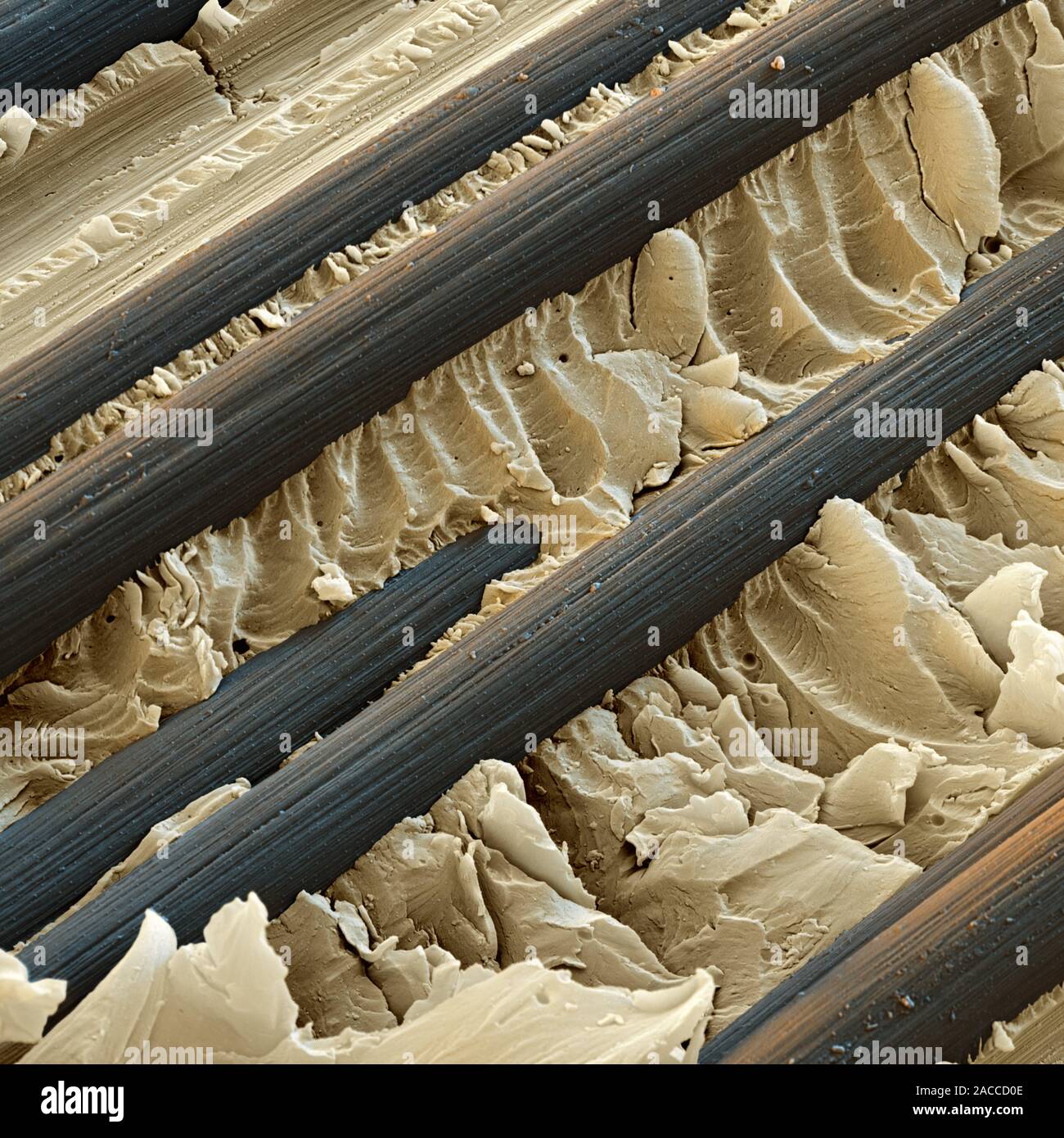 Reinforced plastic. Coloured scanning electron micrograph (SEM) of ...