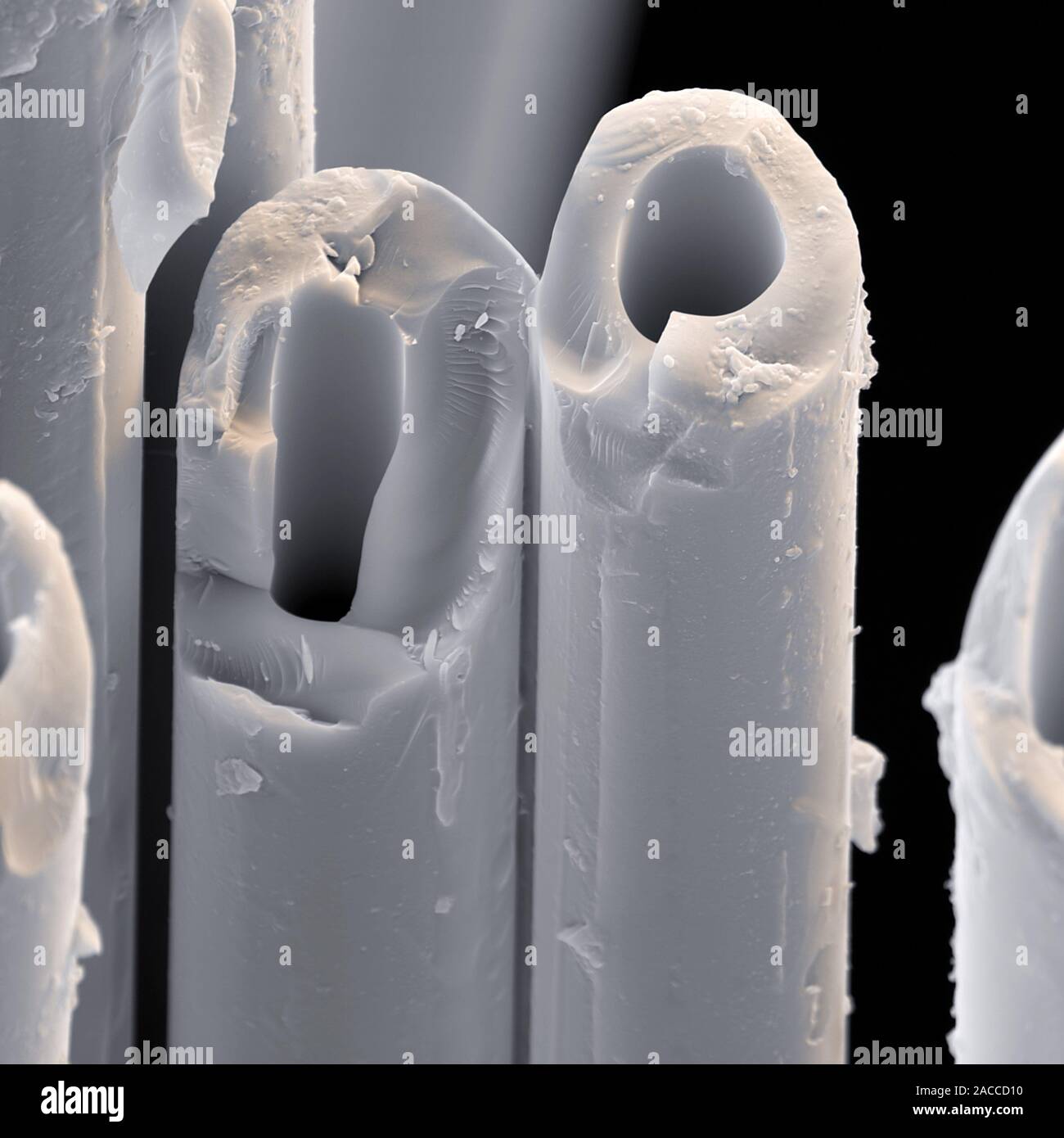 Glass fibres, coloured scanning electron micrograph (SEM). Glass fibres ... Glass fibres, coloured scanning electron micrograph (SEM). Glass fibres ...