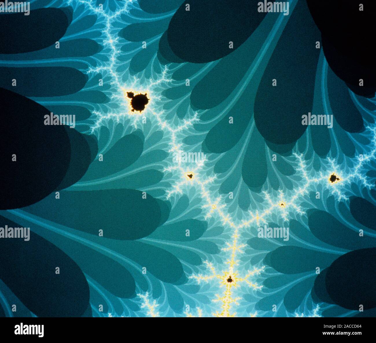 Fractal geometry: computer graphics representation of a detail from the ...