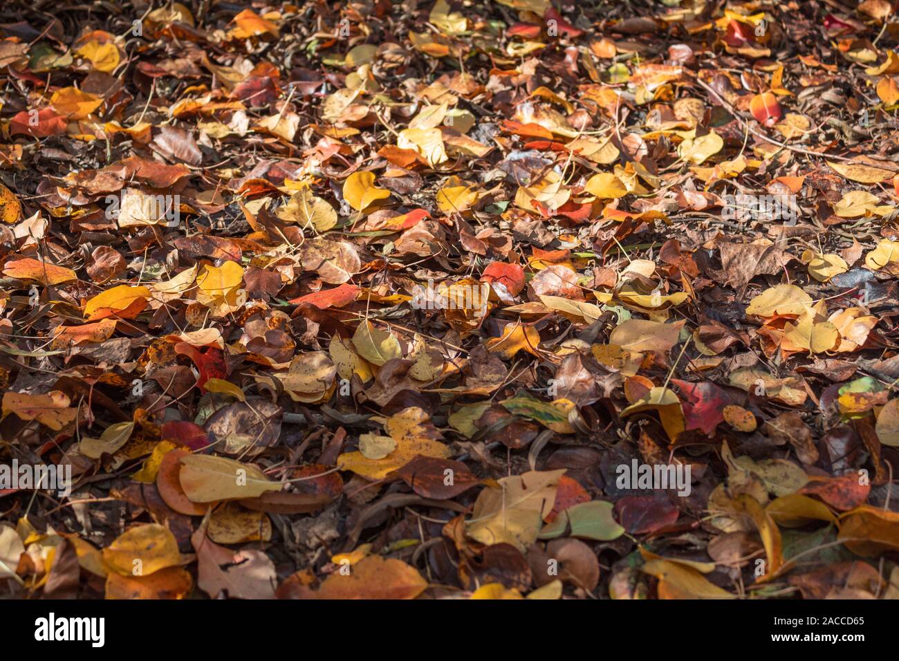 Cold and warm color contrast hi-res stock photography and images - Alamy