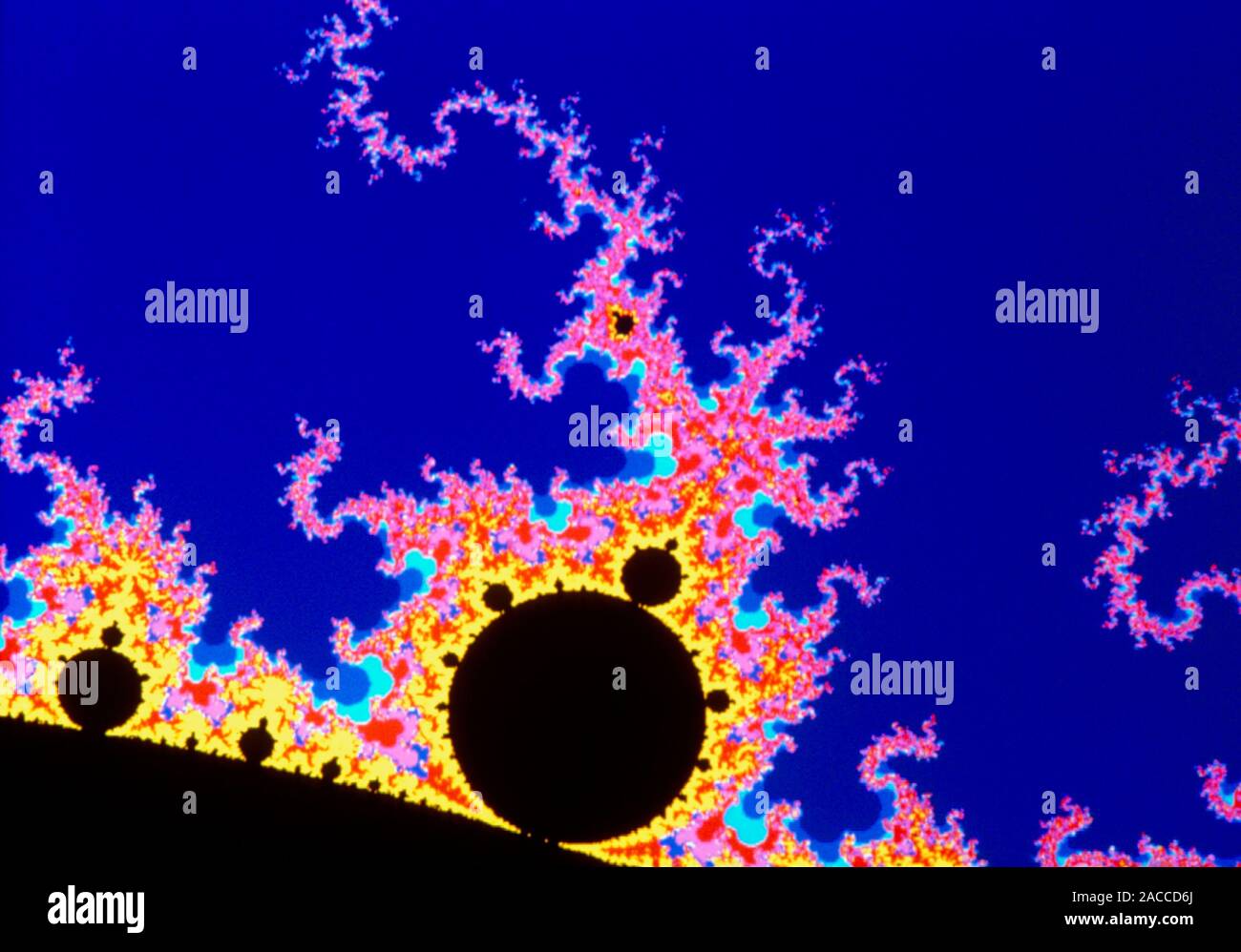 Fractal geometry. A computer graphics image of the Mandelbrot Set, a ...
