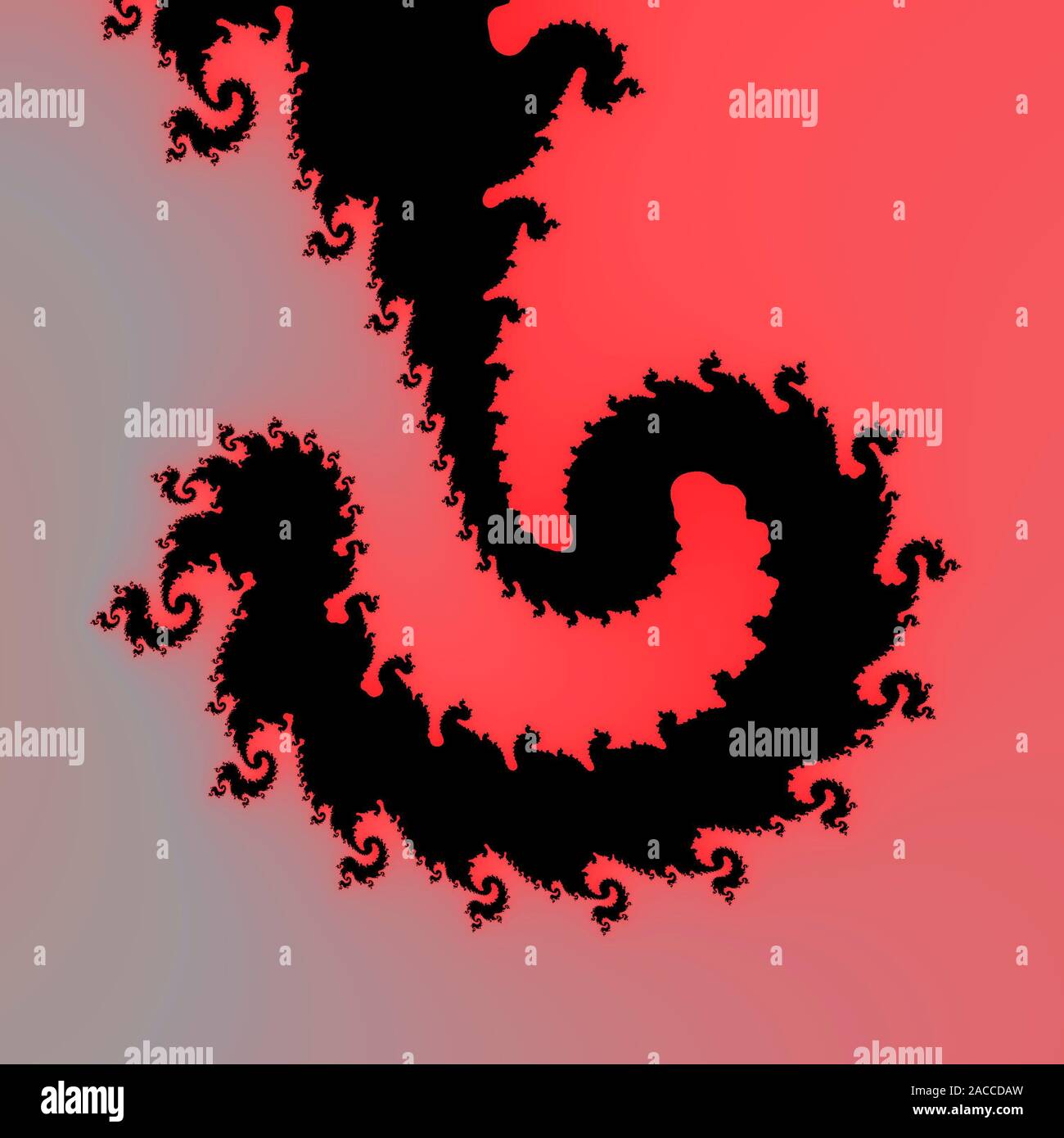 Julia fractal. Computer-generated dragon fractal derived from the Julia ...