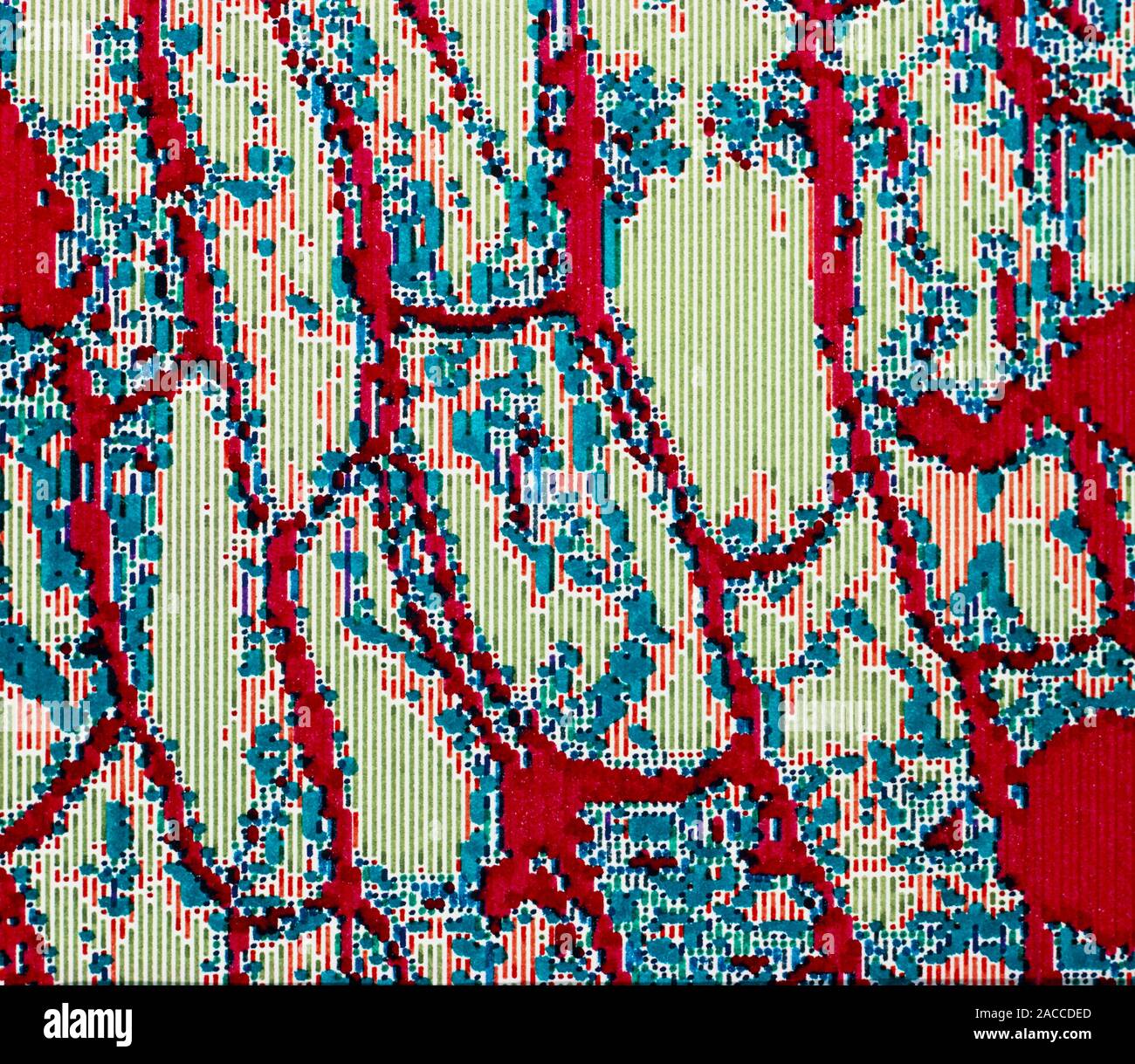 Scanning acoustic micrograph (SAM) of a single- cell layer of onion ...
