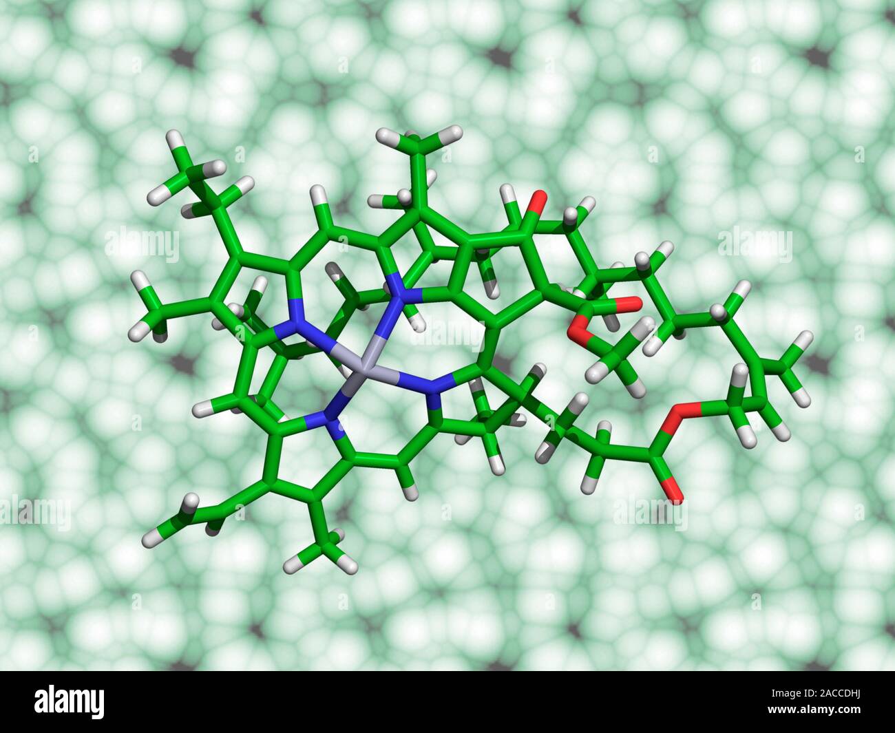 Chlorophyll a. Computer model of the photoreceptor molecule chlorophyll ...