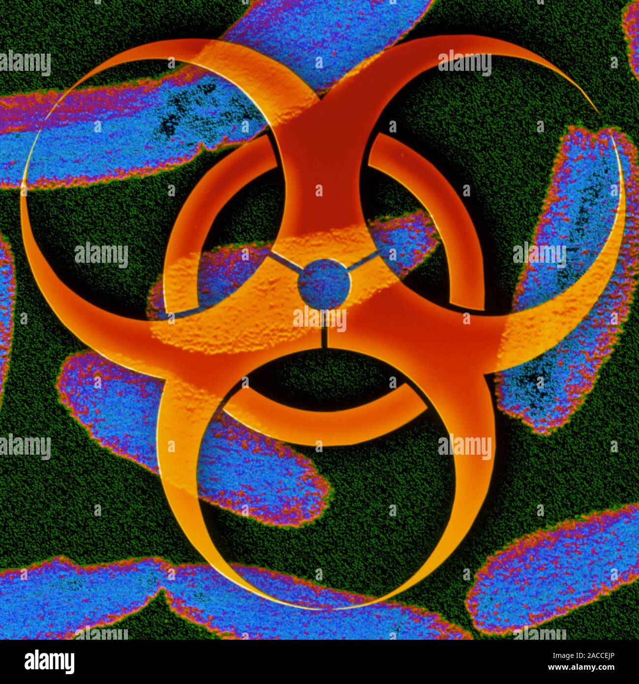 Anthrax bacteria and biohazard symbol. Biohazard warning symbol (orange ...