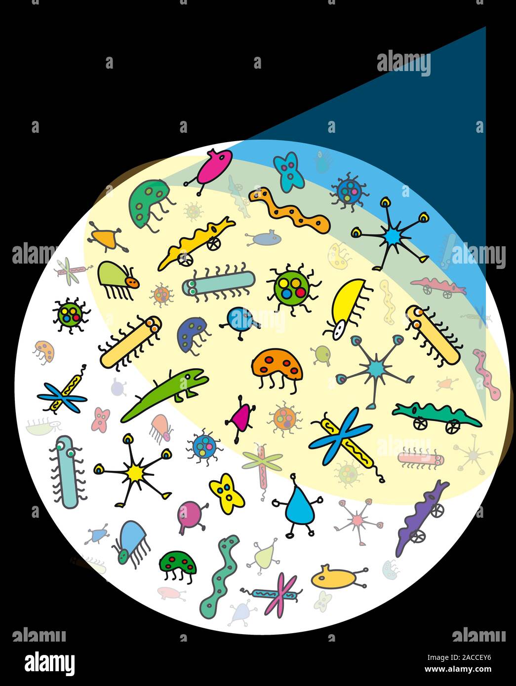 Microbes. Conceptual computer artwork of microbes under a light ...