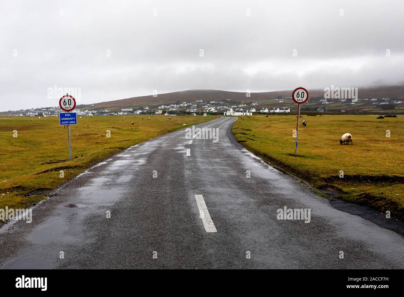 Speed limit signs on a coutry road, Achill island Ireland Stock Photo ...