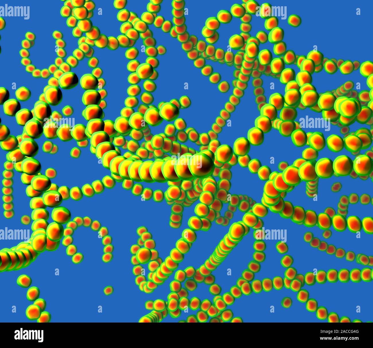 Streptococcus bacteria. Computer artwork of chains of Streptococcus sp ...
